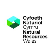 Jobs in the forestry and timber sector