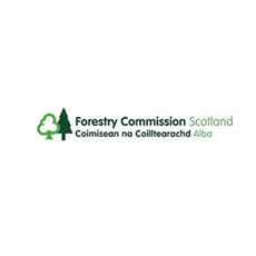 Jobs in the forestry and timber sector