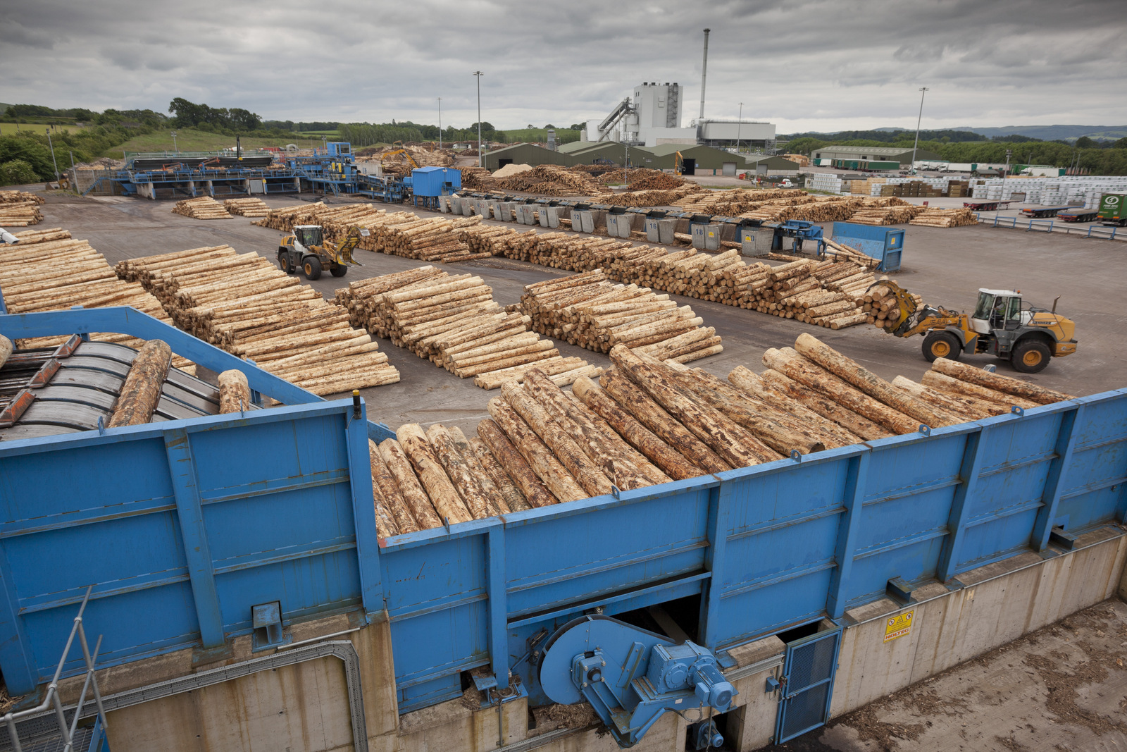 Confor Award for Service to Forestry