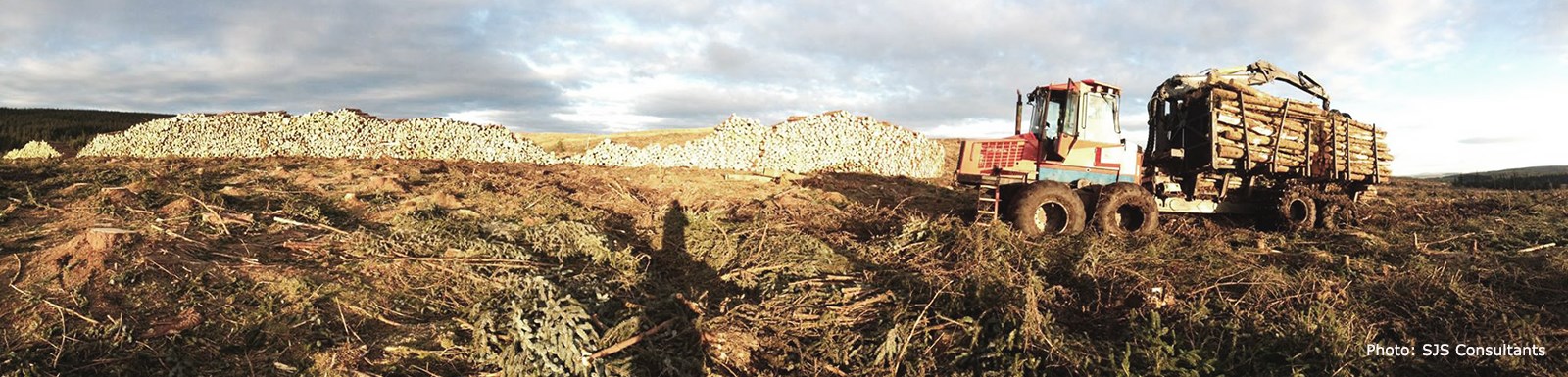 Confor : Confederation of Forest Industries (UK)