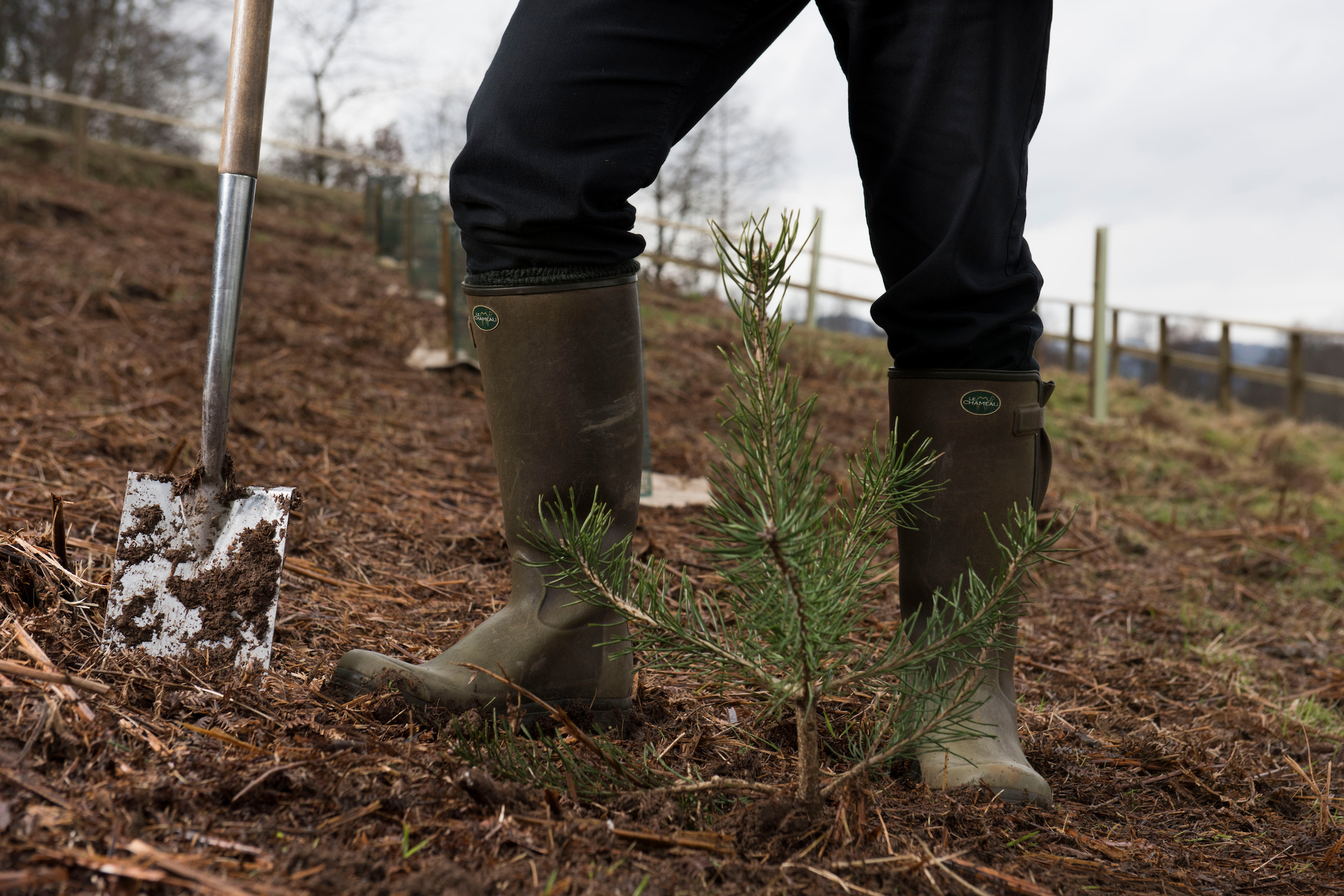 Latest Forestry and Timber News | Confor