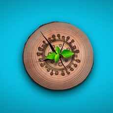 Latest Forestry and Timber News | Confor