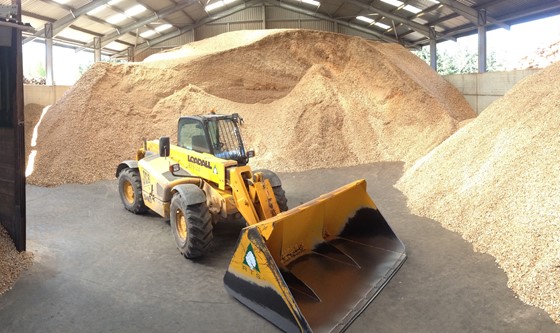 Local business highlights huge potential of forestry