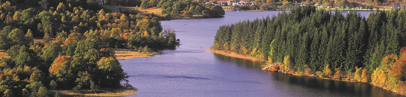 Confor : Confederation of Forest Industries (UK)